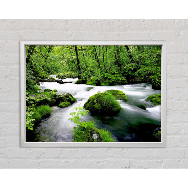 Union Rustic Grüner Waldstrom - Einzelner Bilderrahmen Kunstdrucke auf Leinwand | Wayfair.de